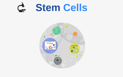 Stem Cells by Usman Enam on Prezi