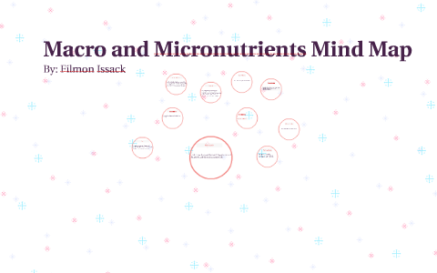 Macro and Micronutrients Mind Map by filmon Issack on Prezi