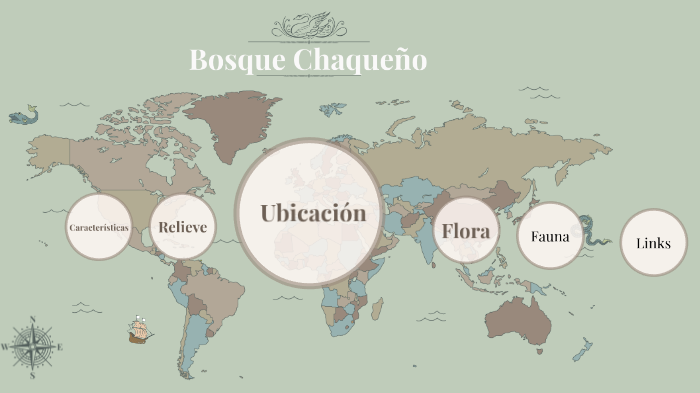 Biomas - Bosque Chaqueño by juan pablo pérego on Prezi