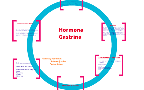 Hormona Gastrina by katherine Gonzalez Calfuman on Prezi