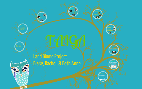 Land Biome Project: Taiga by Elizabeth Anne Collins on Prezi