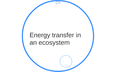 energy transfer in a ecosystem by austin meadows on Prezi