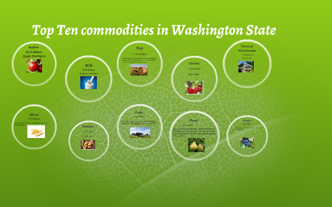 Top Ten commodities in Washington State by BrieOna Whitman on Prezi