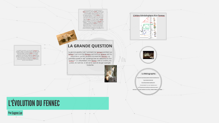 L'ÉVOLUTION DU FENNEC by Eugene Lee on Prezi