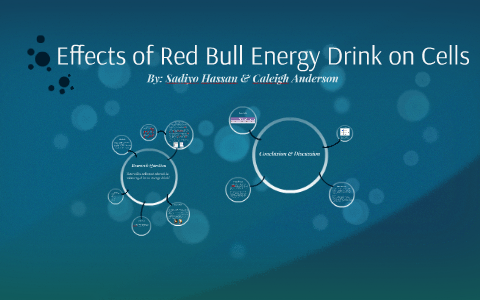 Effects of Red Bull Energy Drink on Cells by Caleigh Anderson on Prezi