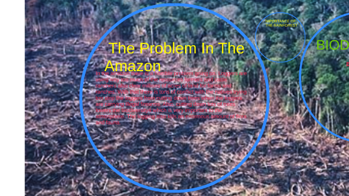 The Problem In The Amazon by hayden krueger on Prezi