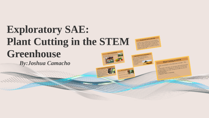 Exploratory SAE by Dorian Pineiro on Prezi