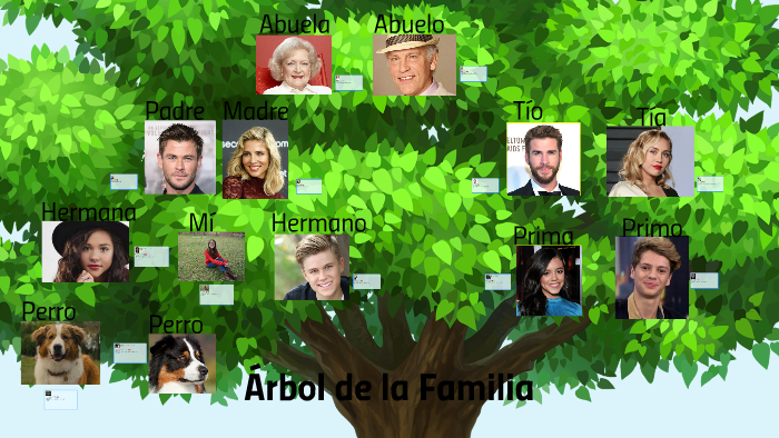 celebrity family tree by Dayanara Manzo on Prezi