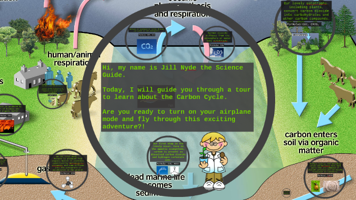 Carbon Cycle Poster by Yayi Feng on Prezi