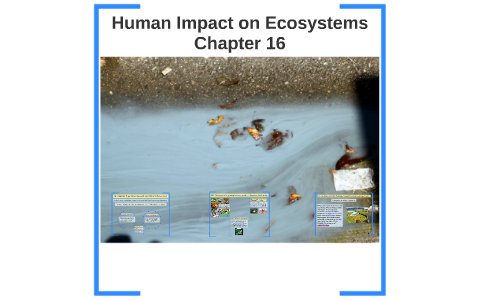 Human Impact on Ecosystems by David Lamb on Prezi