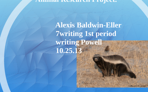 Alexis Baldwin-Eller by Alexis Baldwin-Eller on Prezi