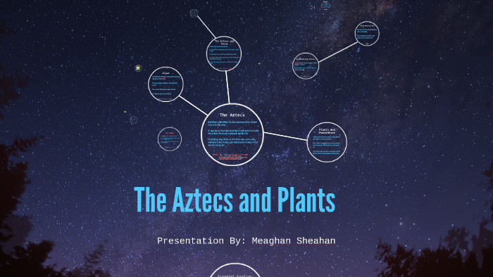 The Aztecs and Plants by Meaghan Sheahan