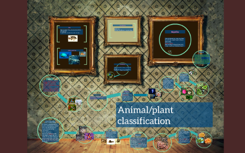 Animal/plant classification by chloe potter on Prezi