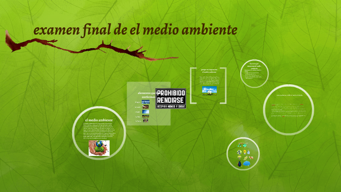 examen final de el medio ambiente by gabriel mieses on Prezi