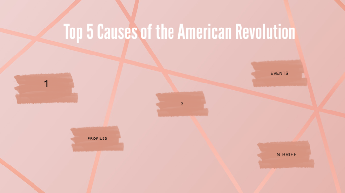 My Top 5 Causes of the American Revolution by Desiree Vaughn on Prezi