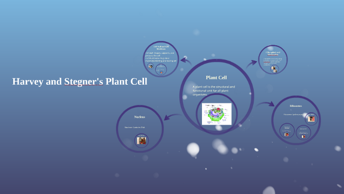 Harvey and Stegner's Nucleus by Jack Stegner on Prezi