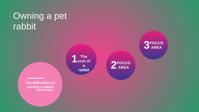 Owning a pet rabbit by Maddie Maugeri on Prezi