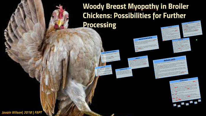 Woody Breast Myopathy in Broiler Chickens: Possibilities for by Kandace ...