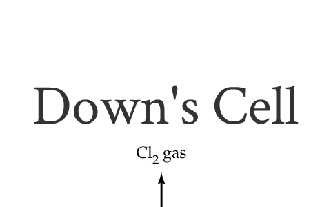 Down's Cell by Jennifer Huebl on Prezi