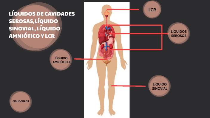 LÍquidos De Cavidades Serosas LÍquido SÍnovial LÍquido AmniÓtico Y Lcr