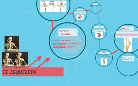 El esqueleto.. by Deborah Meltroso on Prezi