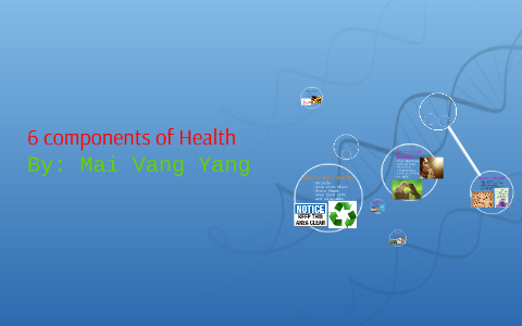 6 components of Health by Mai Vang Yang on Prezi