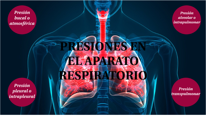 PRESIONES by Angela Mv on Prezi
