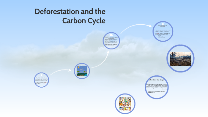 Deforestation and the Carbon Cycle by Chloe Ward on Prezi