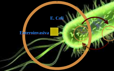 E. Coli Enteroinvasiva by Livier A. Del Val on Prezi