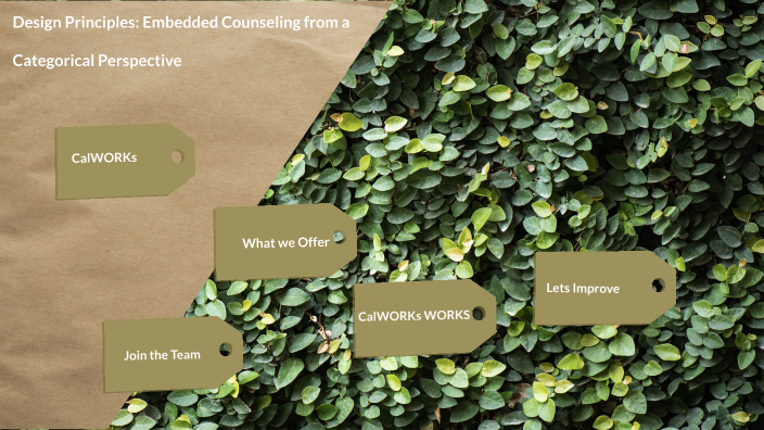 Embedded Counseling from the perspective of a categorical counselor by ...