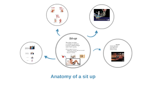 Anatomy of a sit up by Timothy Lew on Prezi