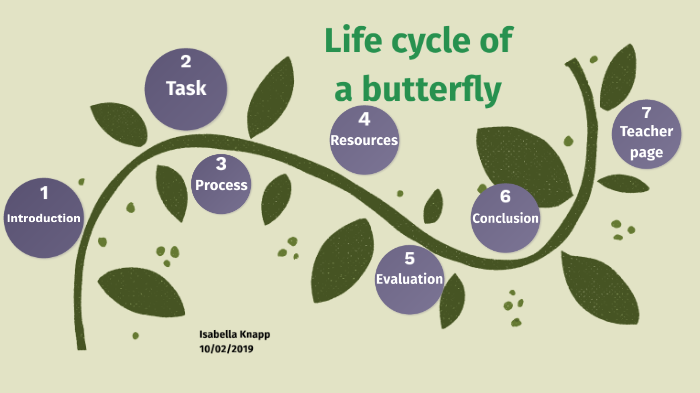 Life cycle of a butterfly by Isabella knapp on Prezi