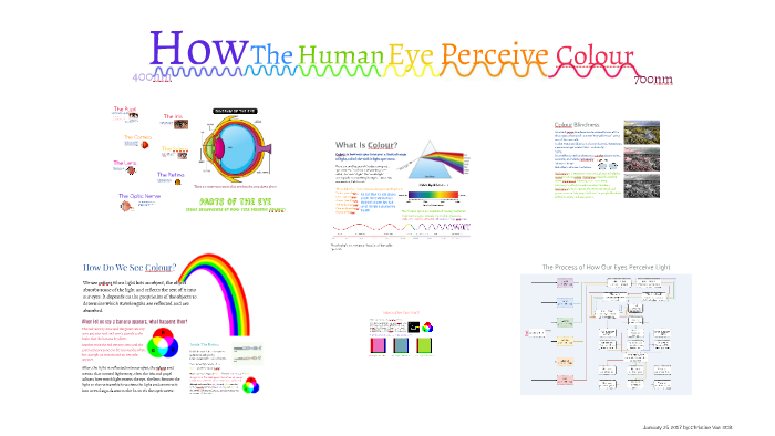 How The Human Eye Perceives Colour by Christine Van on Prezi