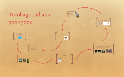 Tocobaga Indians by Gillian Smith on Prezi