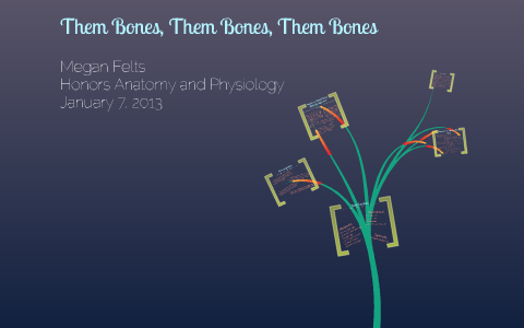 All About Bones by Megan Felts on Prezi