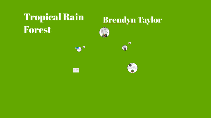 Tropical Rain Forest by Brendyn Taylor on Prezi