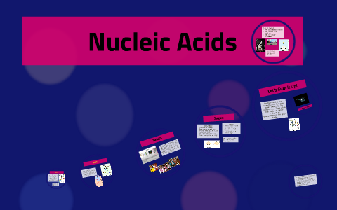 Nucleic Acids Project by Alyssa Negd on Prezi