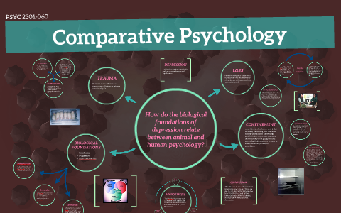 Comparative Psychology by Ashley Kerley on Prezi
