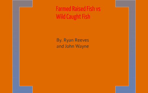 Farm Raised Fish vs Wild Caught Fish by Ryan Reeves on Prezi