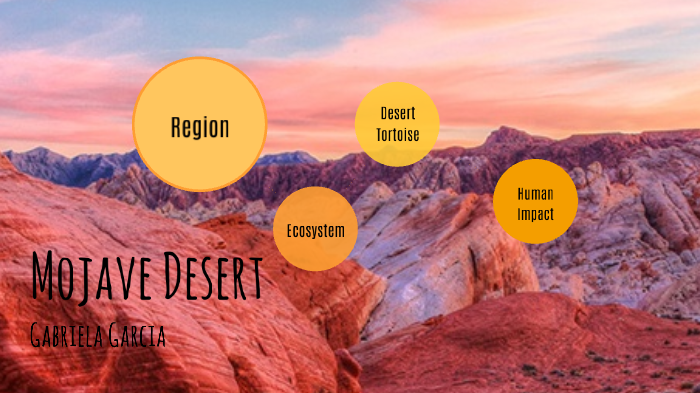 American Desert Biome (Mojave desert) by Gabriela Garcia on Prezi
