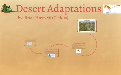Desert Adaptations by on Prezi