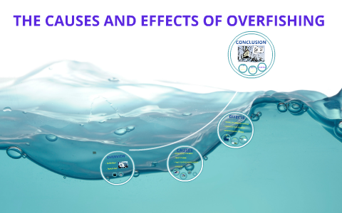 Overfishing Causes