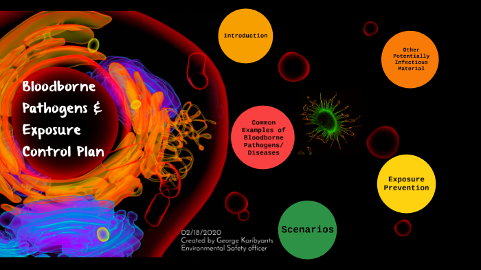 Bloodborne Pathogens and Exposure Control Plan by George Karibyants on ...