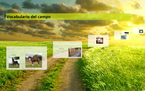 Vocabulario del campo by Julie Cloak on Prezi