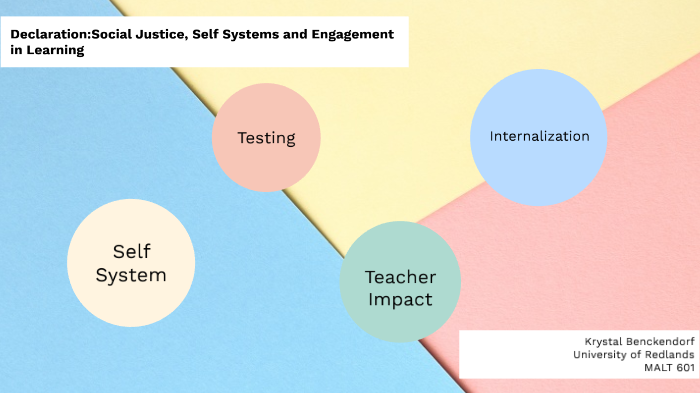 DECLARATION: SOCIAL JUSTICE, SELF-SYSTEMS, AND ENGAGEMENT IN LEARNING ...