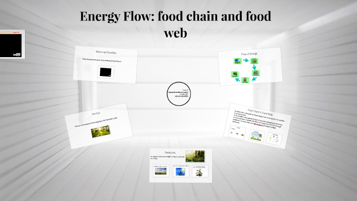 Energy Flow: food chains and food webs by on Prezi