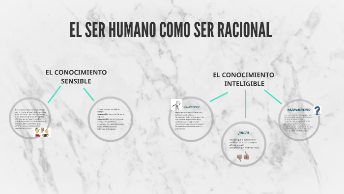 EL SER HUMANO COMO SER RACIONAL by Ana Villacañas on Prezi