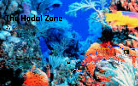 The Hadal Zone by sara davis on Prezi