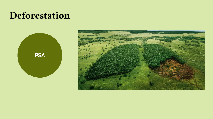 PSA: Deforestation by Georgia McCullough