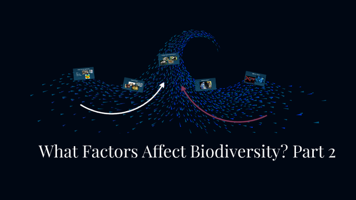 What Factors Affect Biodiversity? (Part 2) by Natalia Camacho on Prezi